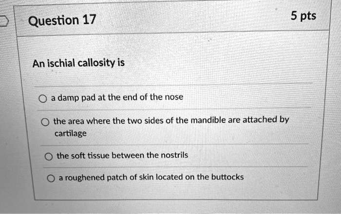 SOLVED: Question 17 5 pts An ischial callosity is a damp pad at the end ...