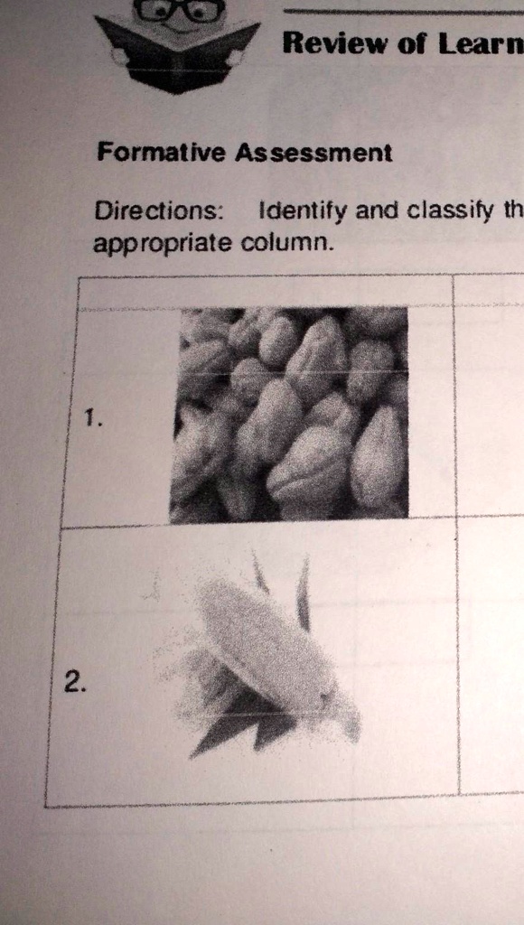 Review of Learn Formative Assessment Directions: Identify and classify the appropriate column. 1. 2.