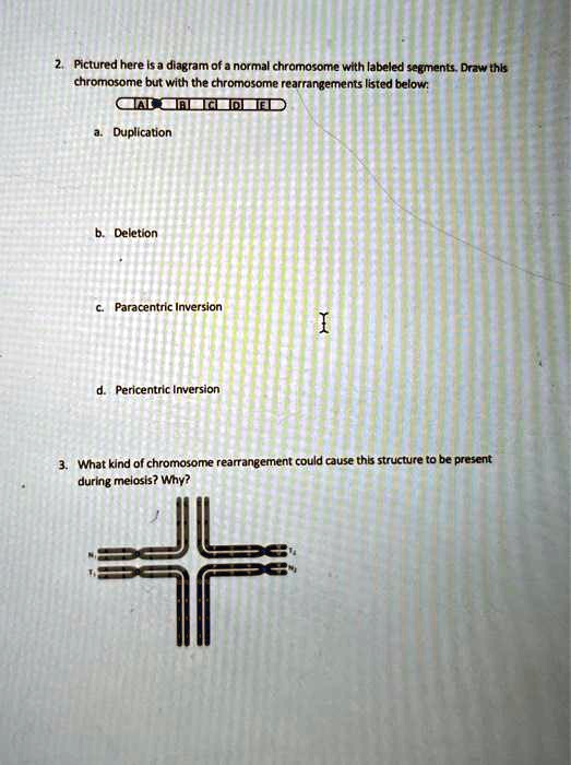 2. Pictured here is a diagram of a normal chromosome with labeled ...
