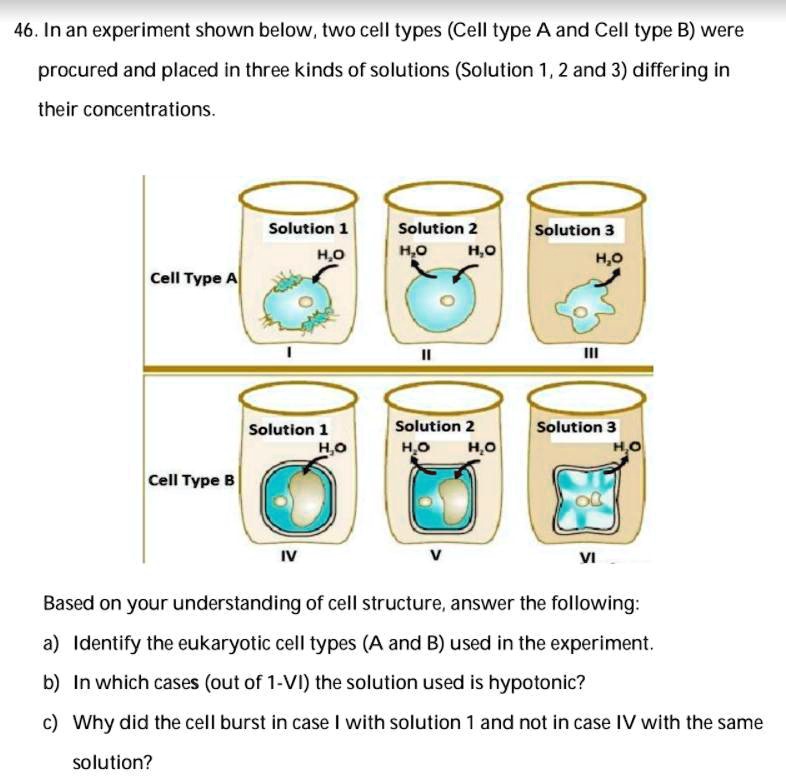 SOLVED: 'Please help please i dont know how to do this! 46. In an ...