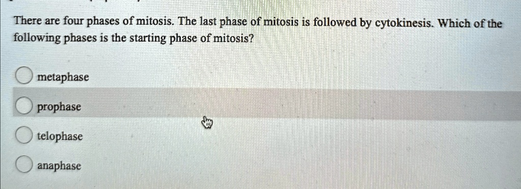 There are four phases of mitosis. The last phase of mitosis is followed ...