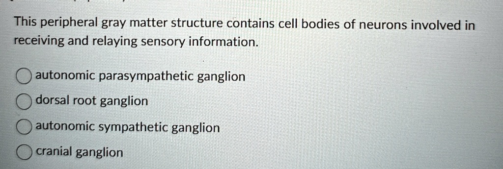 this peripheral gray matter structure contains cell bodies of neurons ...