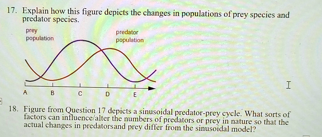 17. Explain how this figure depicts the changes in populations of prey ...