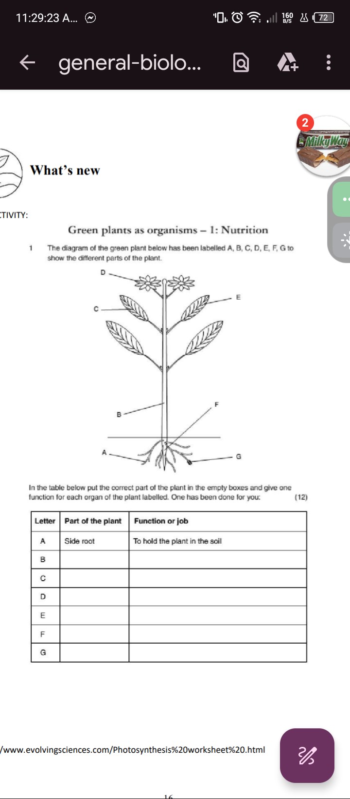 SOLVED: 11:29:23 A... @ ← general-biolo... 2 What's new Green plants as ...
