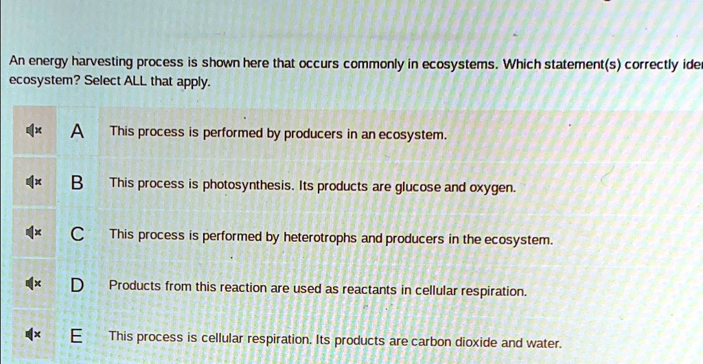 Solved An Energy Harvesting Process Is Shown Here That Occurs Commonly In Ecosystems Which 