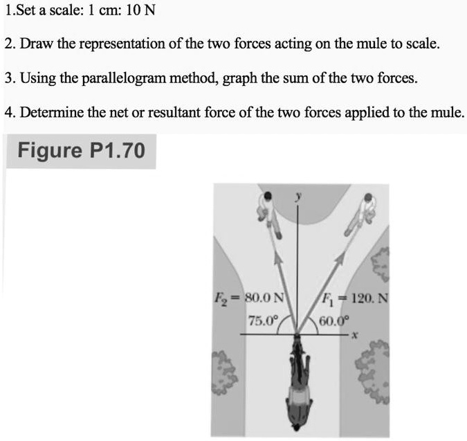 1set a scale 1 cm 10 n 2 draw the representation of the two forces acting on the mule to scale 3 ...
