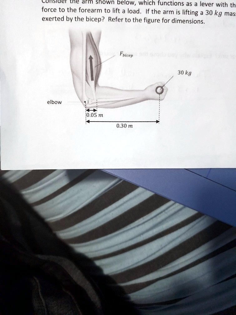 SOLVED: Consider the arm shown below, which functions as a lever with ...