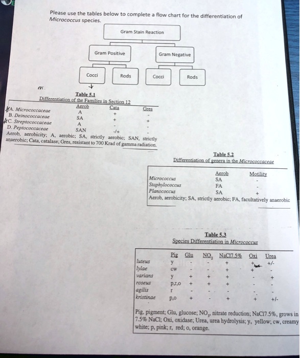 [GET ANSWER] please 5 us the tables below complete flo chart for the ...