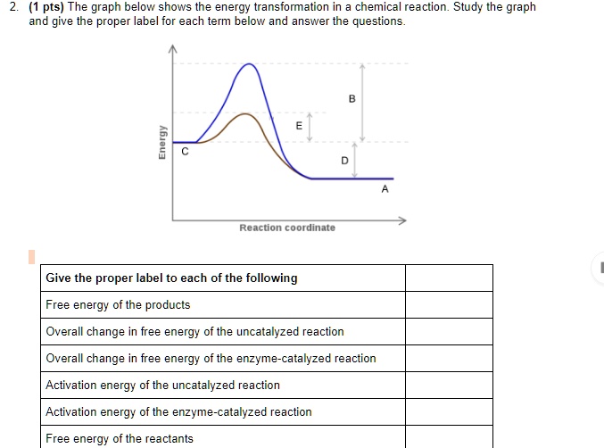 2. (1 pts) The graph below shows the energy transformation in a ...