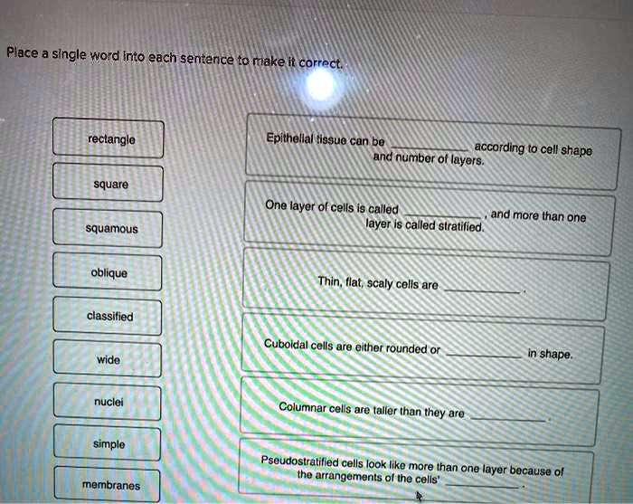SOLVED: Epithelial tissue can be classified according to cell shape and number of layers. One ...