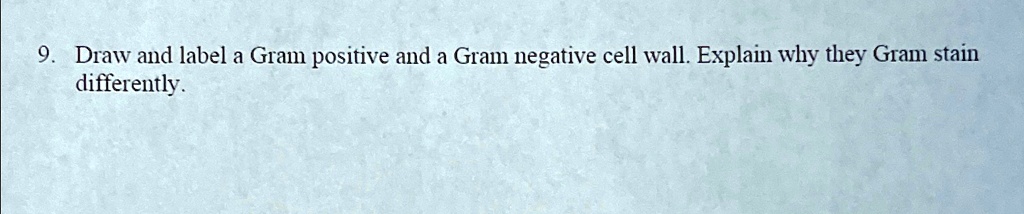 9. Draw and label a Gram positive and a Gram negative cell wall ...