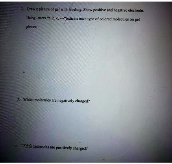 SOLVED: Draw a picture of a gel with labeling. Show positive and ...