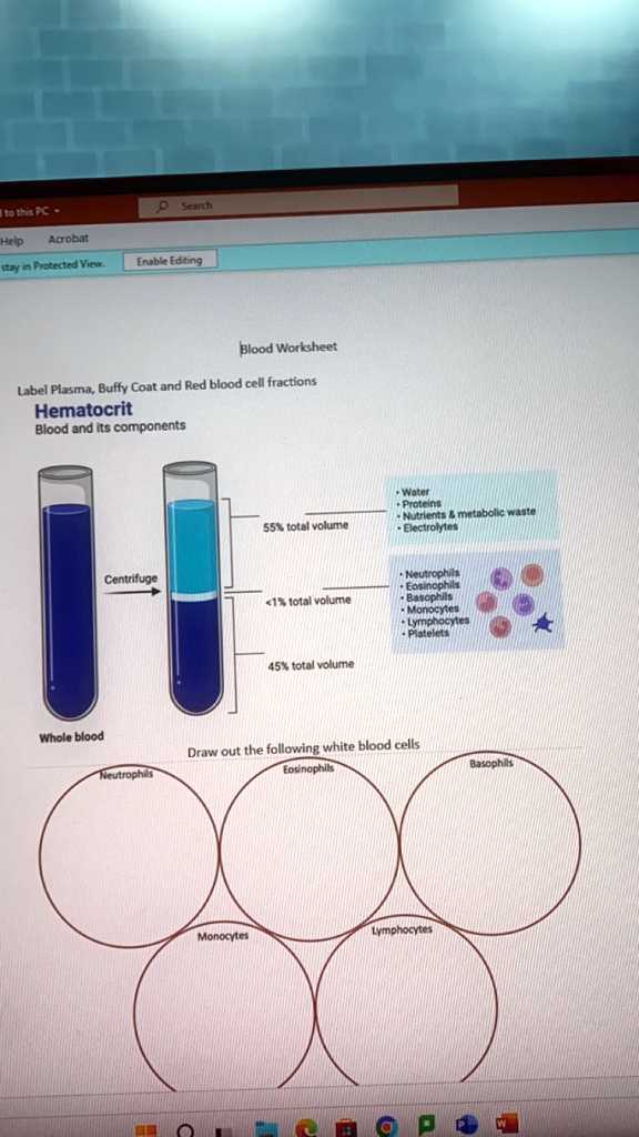 SOLVED: Texts: Search Help Acrobat stay in Protected View Enable Editing Blood Worksheet Label ...