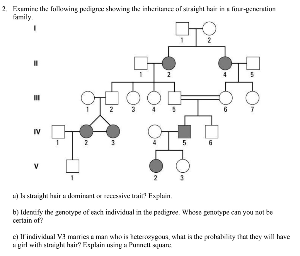 2. Examine the following pedigree showing the inheritance of straight ...