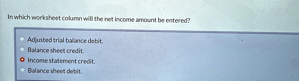 in which worksheet column will the net income amount be entered ...