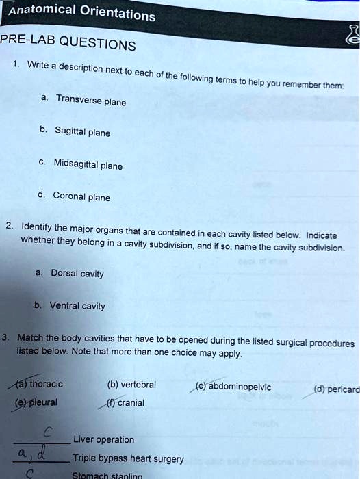 Text 1: Anatomical Orientations PRE-LAB QUESTIONS a. Transverse plane b ...