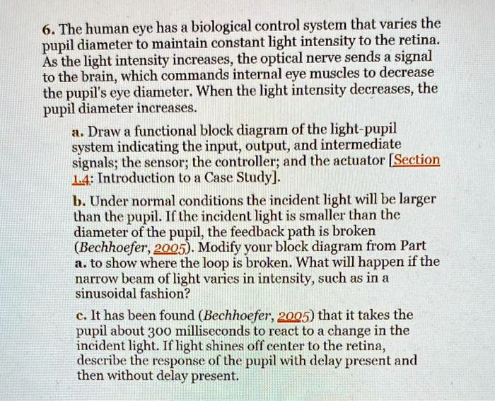 6. The human eye has a biological control system that varies the pupil ...