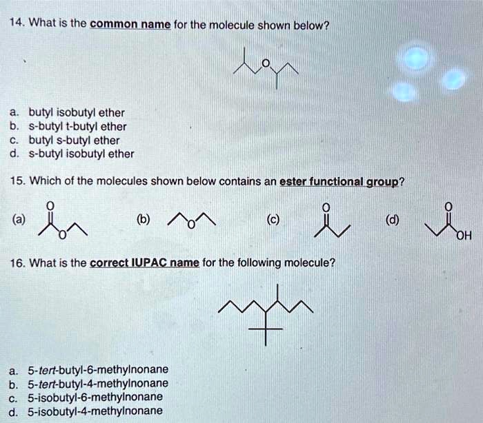 14. What is the common name for the molecule shown below? a. butyl ...