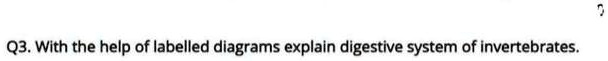 Q3. With the help of labelled diagrams explain digestive system of ...