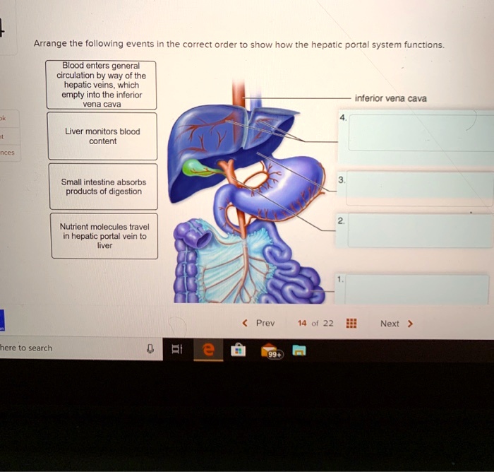 SOLVED: Arrange the following events in the correct order to show how the hepatic portal system ...