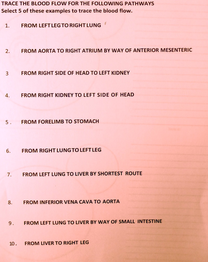 trace the blood flow for the following pathways select 5 of these ...