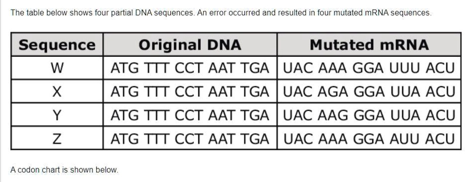 Using the codon chart, which mutated mRNA sequence would NOT result in a change in the organism ...