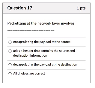 SOLVED: Packetizing at the network layer involves: - Encapsulating the ...