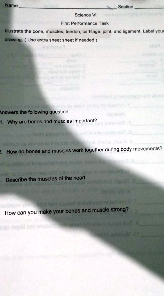 Name Science VI Section First Performance Task Illustrate the bone ...