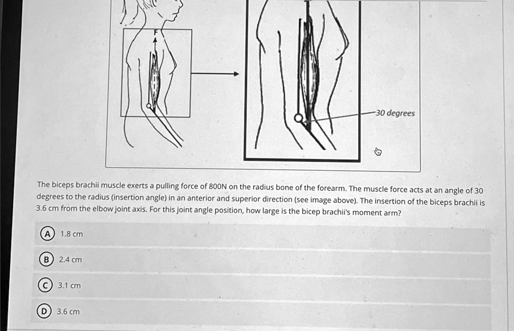 The biceps brachii muscle exerts a pulling force of 800N on the radius ...