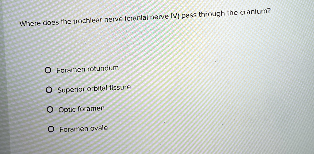 Where does the trochlear nerve (cranial nerve IV) pass through the ...