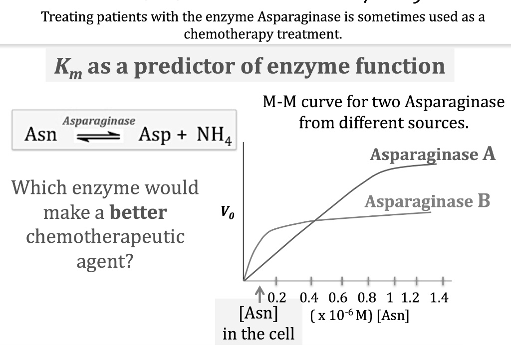 SOLVED: Treating patients with the enzyme Asparaginase is sometimes ...