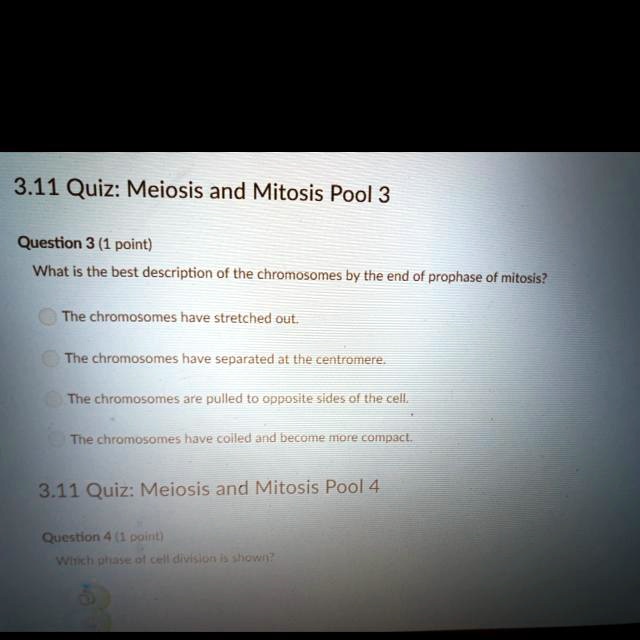 need help now photo is included 311 quiz meiosis and mitosis pool 3 question 3 1 point what is ...