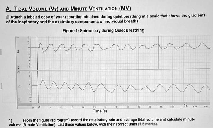 SOLVED: A. TIDAL VOLUME (VT) AND MINUTE VENTILATION (MV) Attach a ...