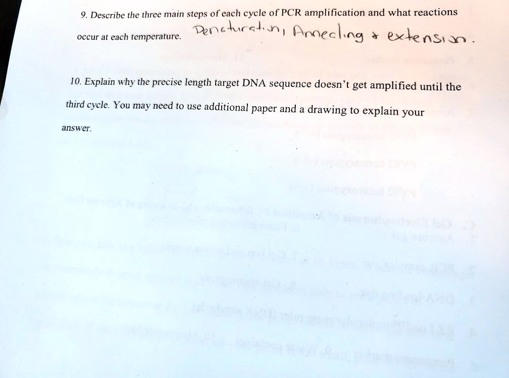 describe the three main steps of each cycle of pcr amplification and what reactions denchnsk ...
