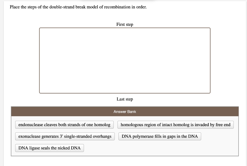 Place the steps of the double-strand break model of recombination in ...