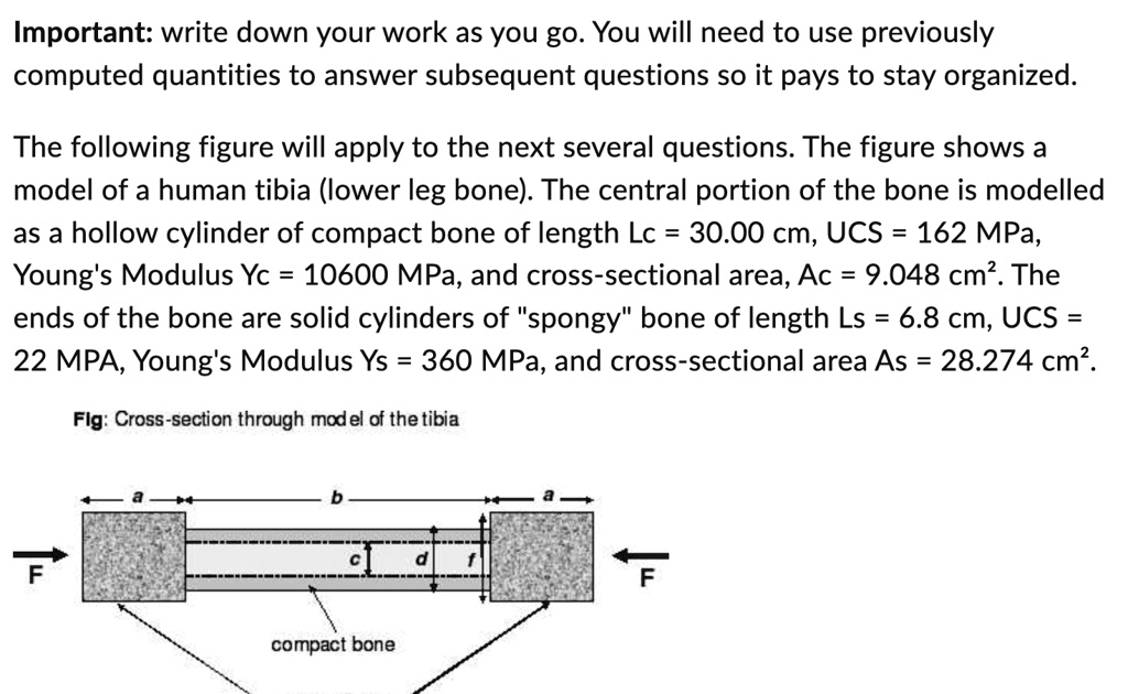SOLVED: 2. Calculate the maximum compressive force that can be applied ...
