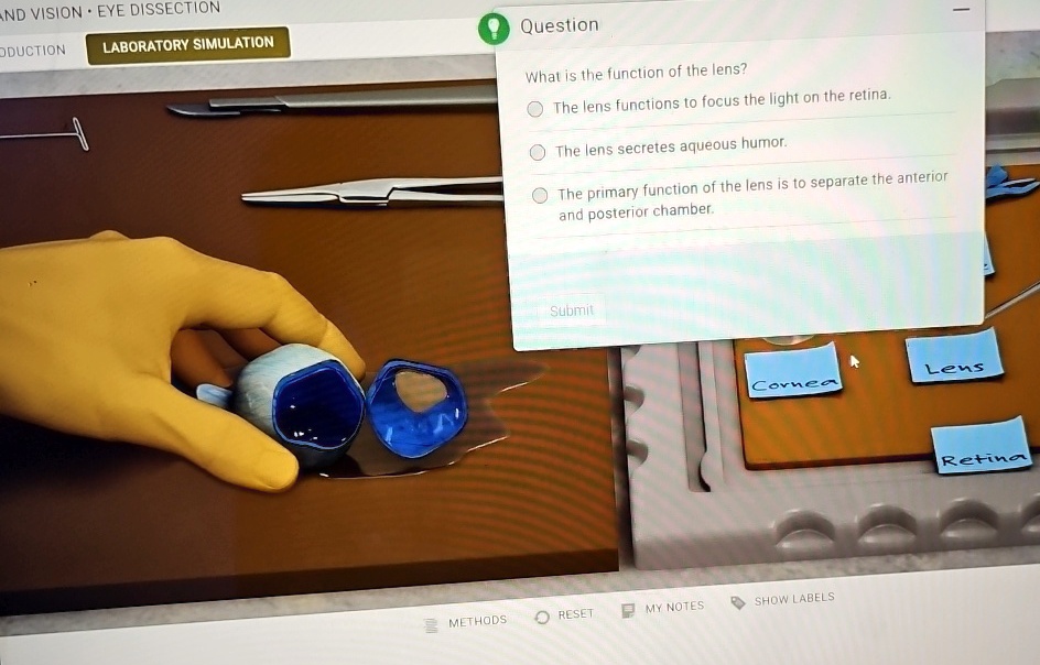 AND VISION • EYE DISSECTION ODUCTION LABORATORY SIMULATION • Question ...