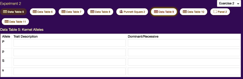 SOLVED: Experiment 2 Exercise 2 EData Table Data Table Data Table Data Table Punnett Square Data ...