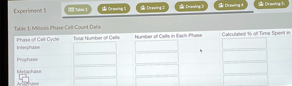 Experiment 1 Table 1 Drawing 1 Drawing 2 Drawing 3 Drawing 4 Drawing 5 ...