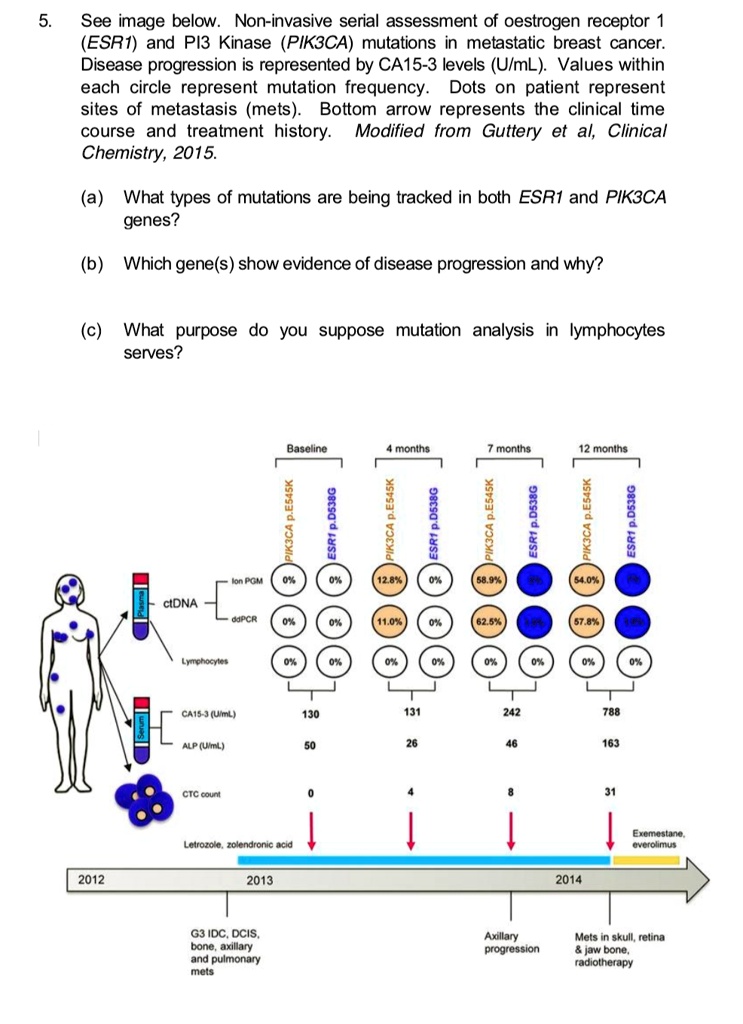 see image below non invasive serial assessment of oestrogen receptor ...