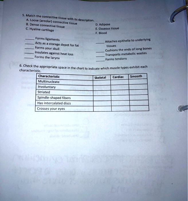 SOLVED: Match the connective tissue with the correct description ...