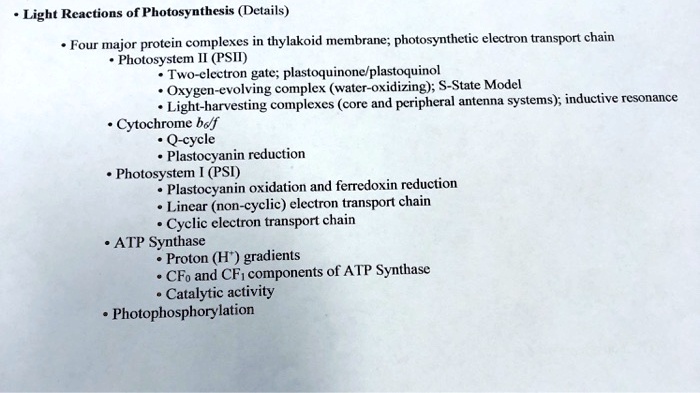 Light Reactions of Photosynthesis (Details) • Four major protein ...