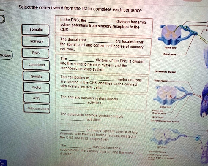 SOLVED: Select the correct word from the list to complete each sentence ...