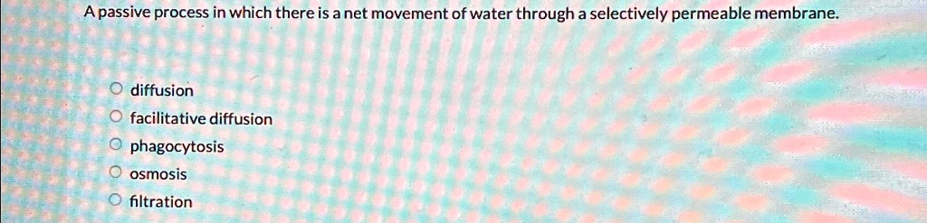 SOLVED: A passive process in which there is a net movement of water ...