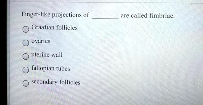 SOLVED: Finger-! like projections of Graafian follicles are called ...