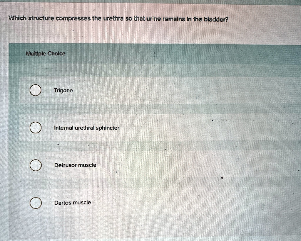 [GET ANSWER] which structure compresses the urethra so that urine ...