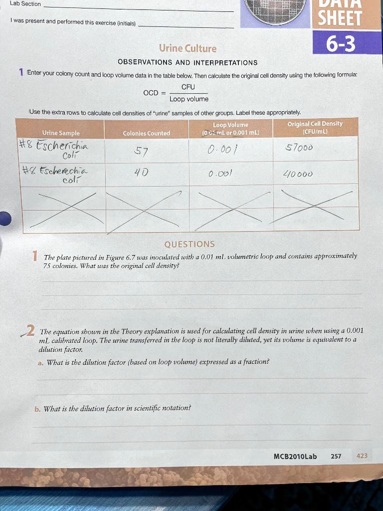 SOLVED: Lab Section DHIH SHEET 6-3 I was present and performed this ...