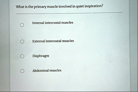 what is the primary muscle involved in quiet inspiration internal ...