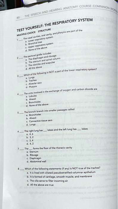 multiple choice structure the nasal cavity and pharynx are part of the ...