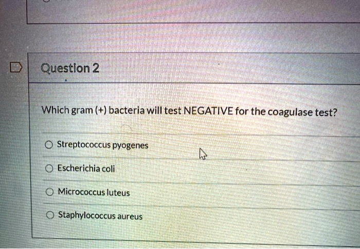 question 2 which gram bacteria will test negative for the coagulase ...
